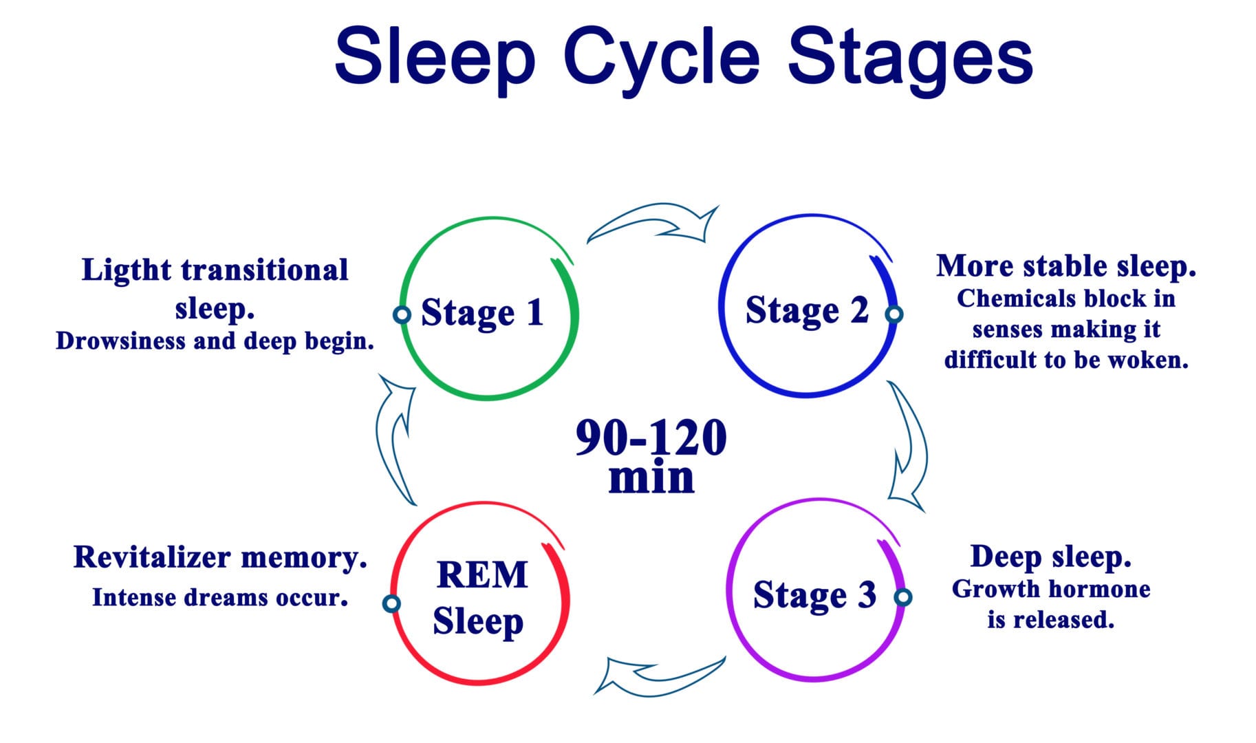 Sleep-Cycle-Stages | Simply Good Sleep